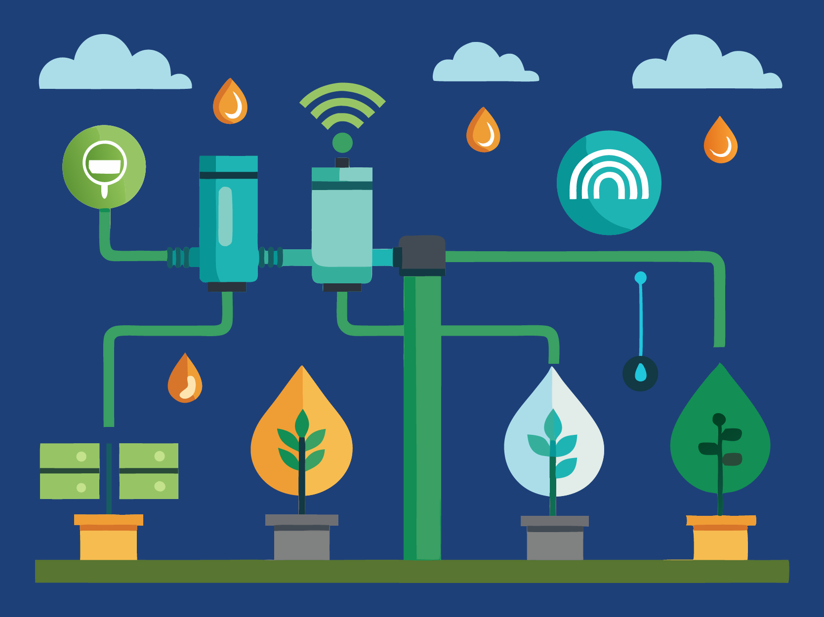 Cultivating Confidence: Simplifying Compliance in Agriculture